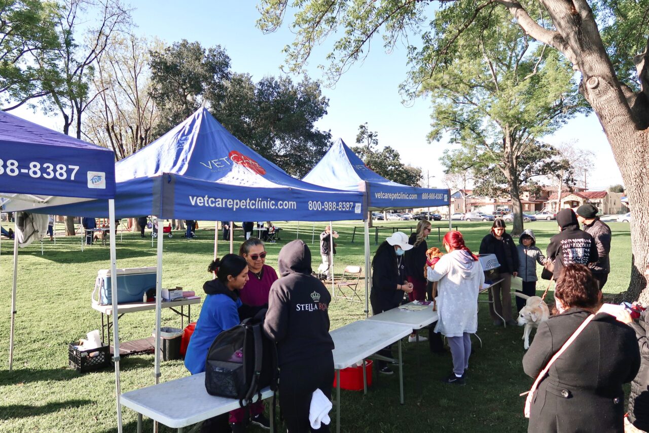 Volunteer - Vet Care Pet Clinic